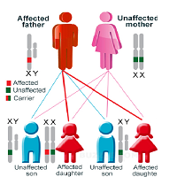 Image 2 - Avens Blog | Avens Blog