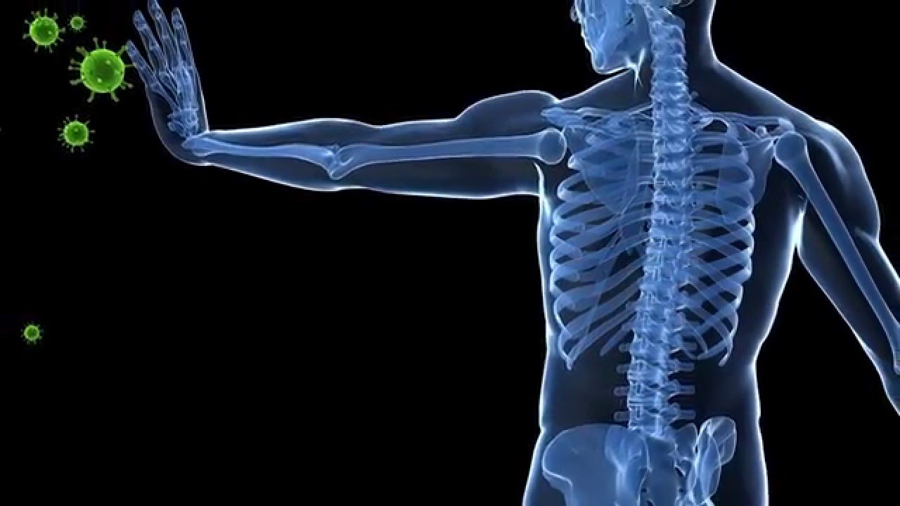 The Advent of Immunotherapy in Treating Cancer - Avens Blog | Avens Blog